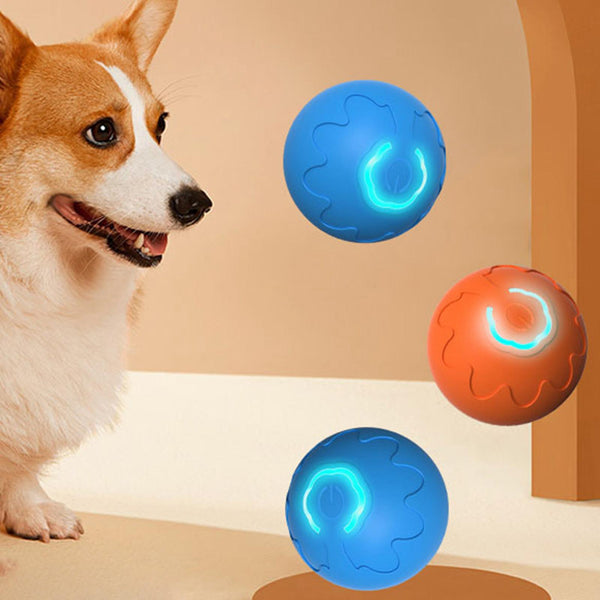 ⚡️Buy Maxbell Maxbell Interactive Dog Ball Toy Light up Dog Toy ...