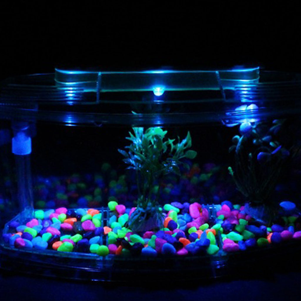 ⚡️Buy Maxbell Acrylic LED Aquarium Fish Tank Isolation Box Hatchery ...