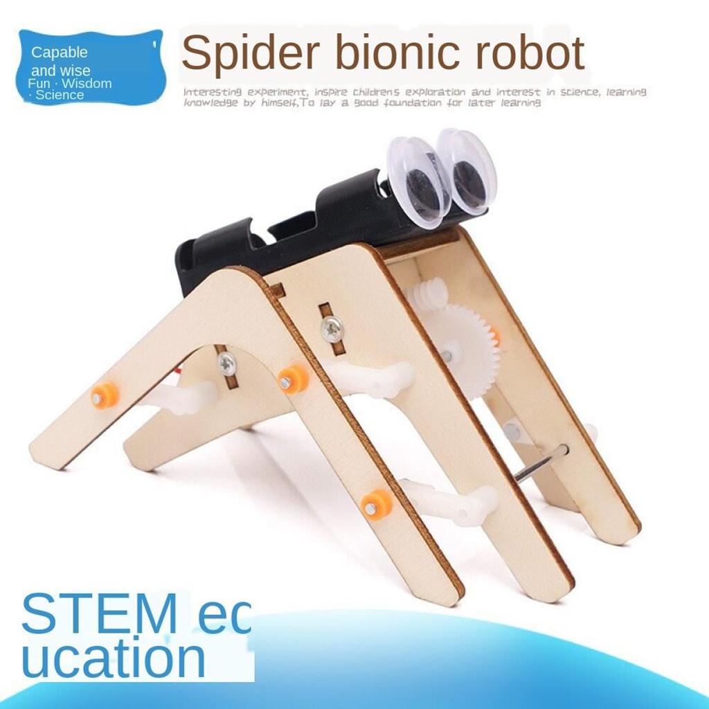 ⚡️Buy Maxbell Kids DIY STEM Toy Wooden Science Experiment Kits Spider ...