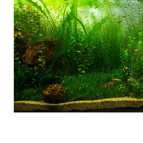⚡️Buy Max PVC Aquarium Background Poster, Fish Tank Plants Landscape ...
