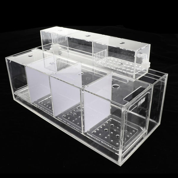 ⚡️Buy Maxbell Aquarium Tank Young Fish Breeding Hatchery Incubator ...